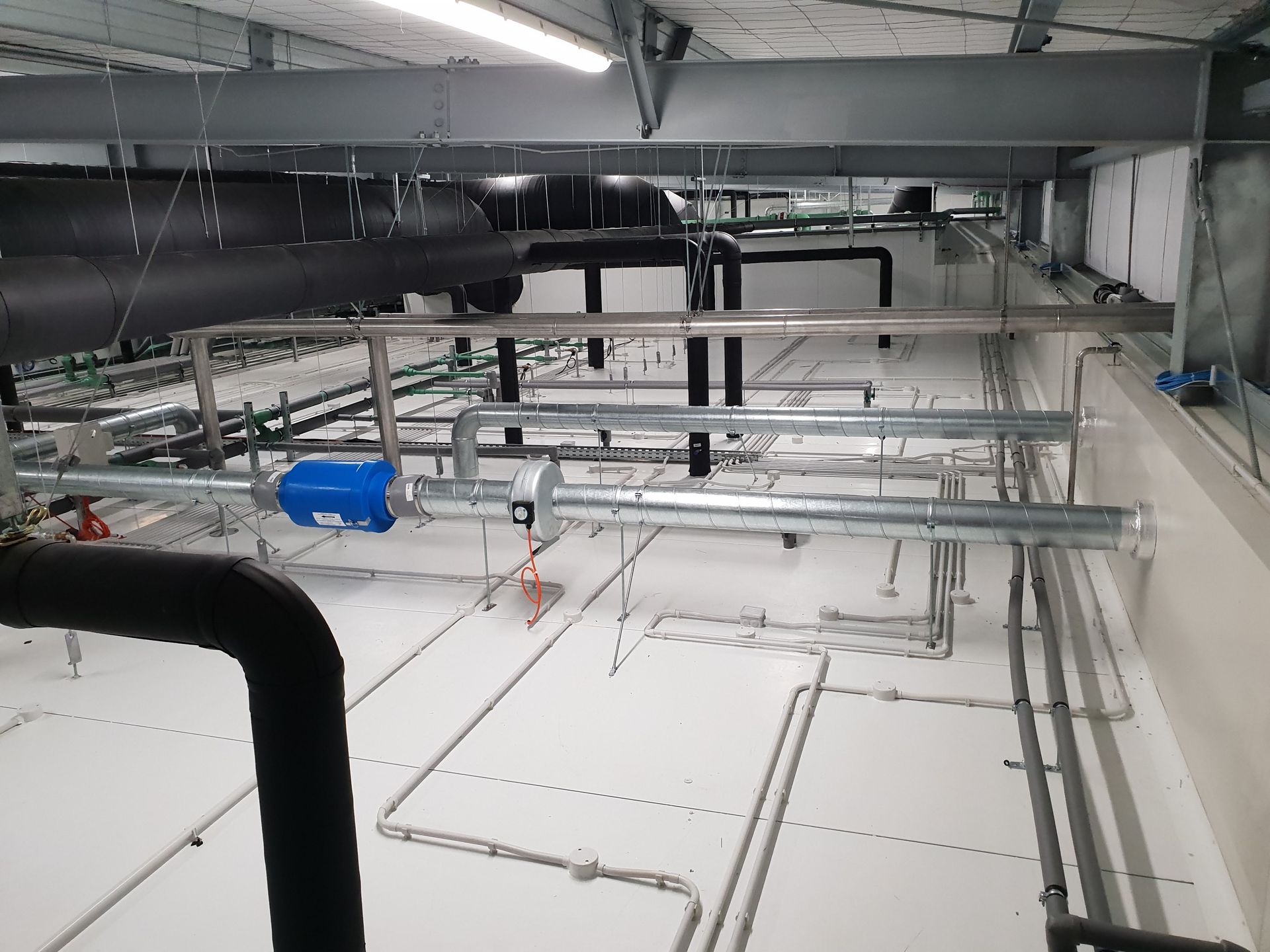 Complete Chicken Export Facility + Hatchery | Flow Industries