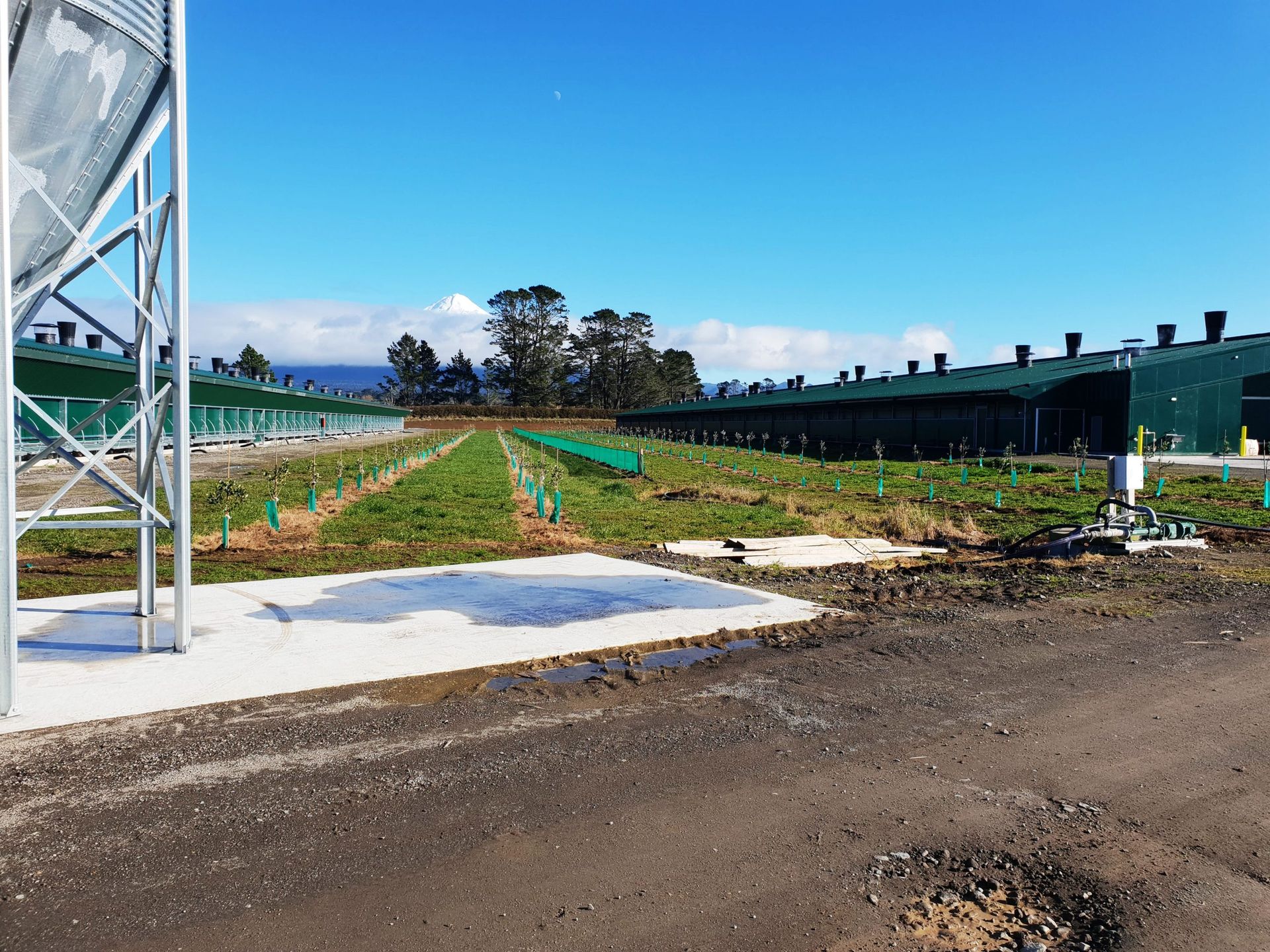 gas-and-combustion/poultry-gas-heating-services | Flow Industries